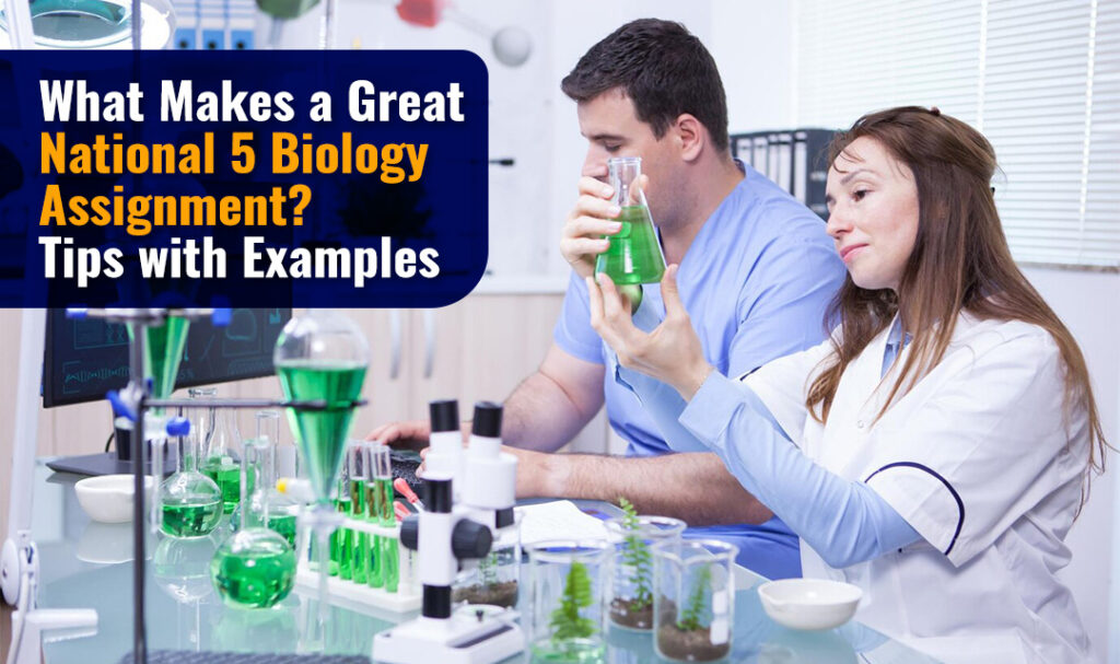 What Makes a Great National 5 Biology Assignment? Tips With Examples ...